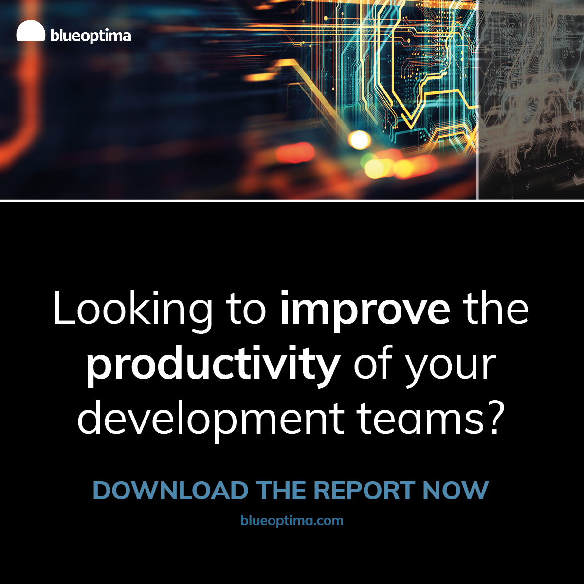 Drivers of Productivity